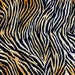 Tiger Striped Fabric, Animal Fabric, 100% Cotton, Apparel Fabric ...