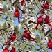 Cardinals Anti-pill Fleece Fabric, Birds & Trees, 100% Polyester ...