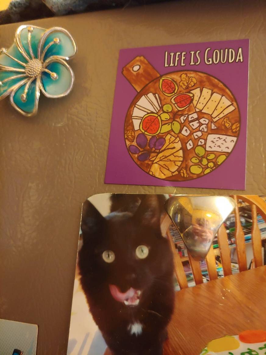 Life is Gouda Magnet Charcuterie Board Art Painting Punny Funny Magnets ...