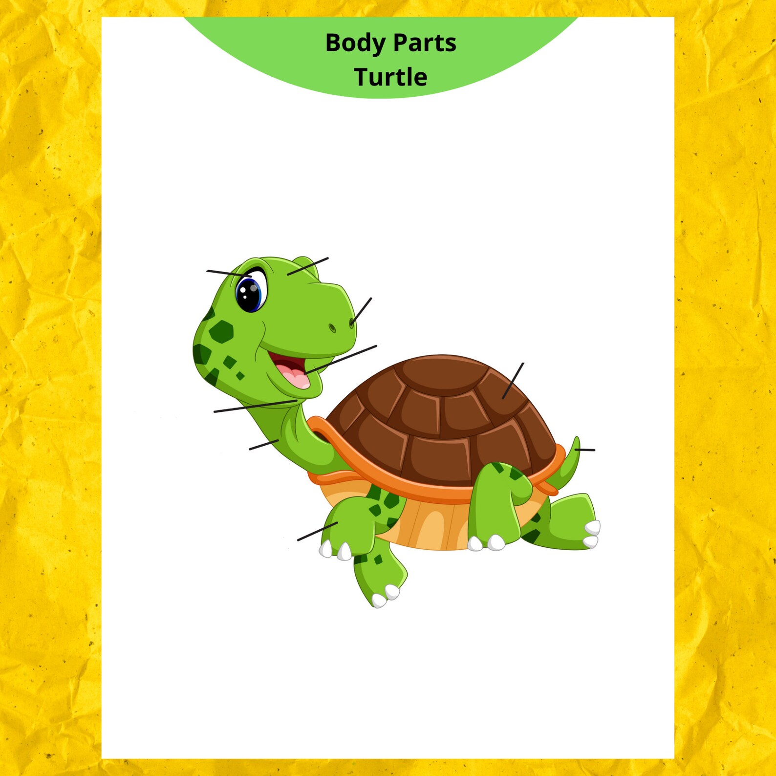 Body Parts Turtle Matching Game Preschool Busy Book External Etsy UK body-parts-turtle-matching-game-preschool-busy-book-external-etsy-uk