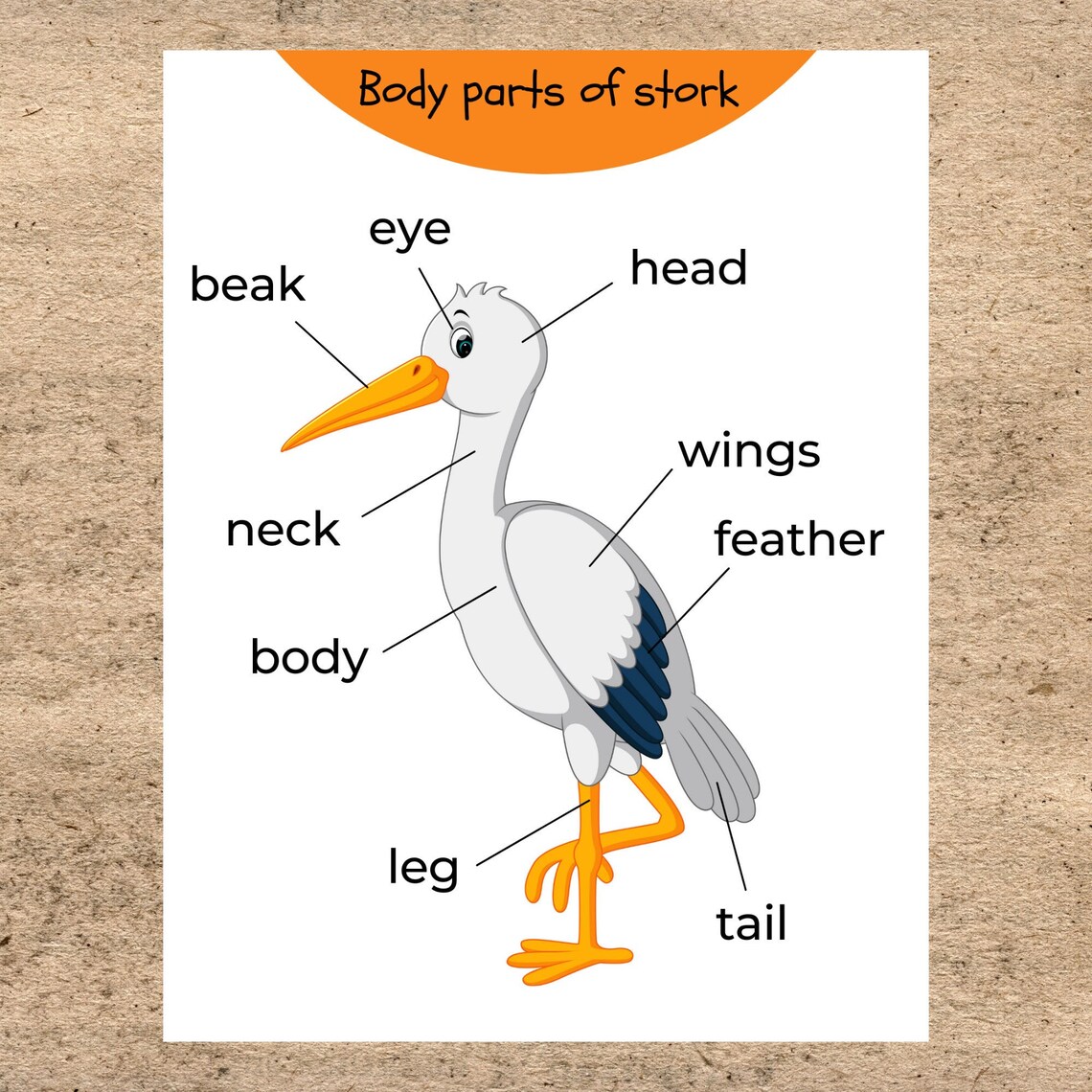 Matching Game Body Parts of Stork Preschool Busy Book Page - Etsy