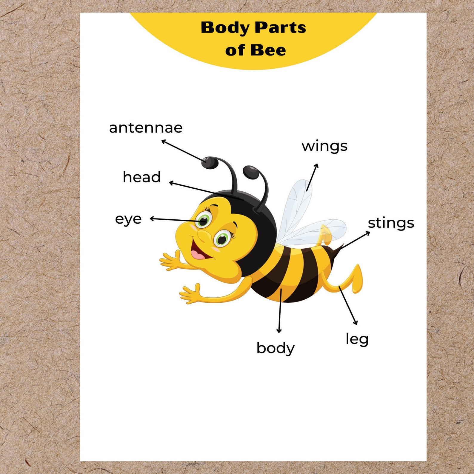 Montessori Body Part Bee Preschool Busy Book Matching Game - Etsy