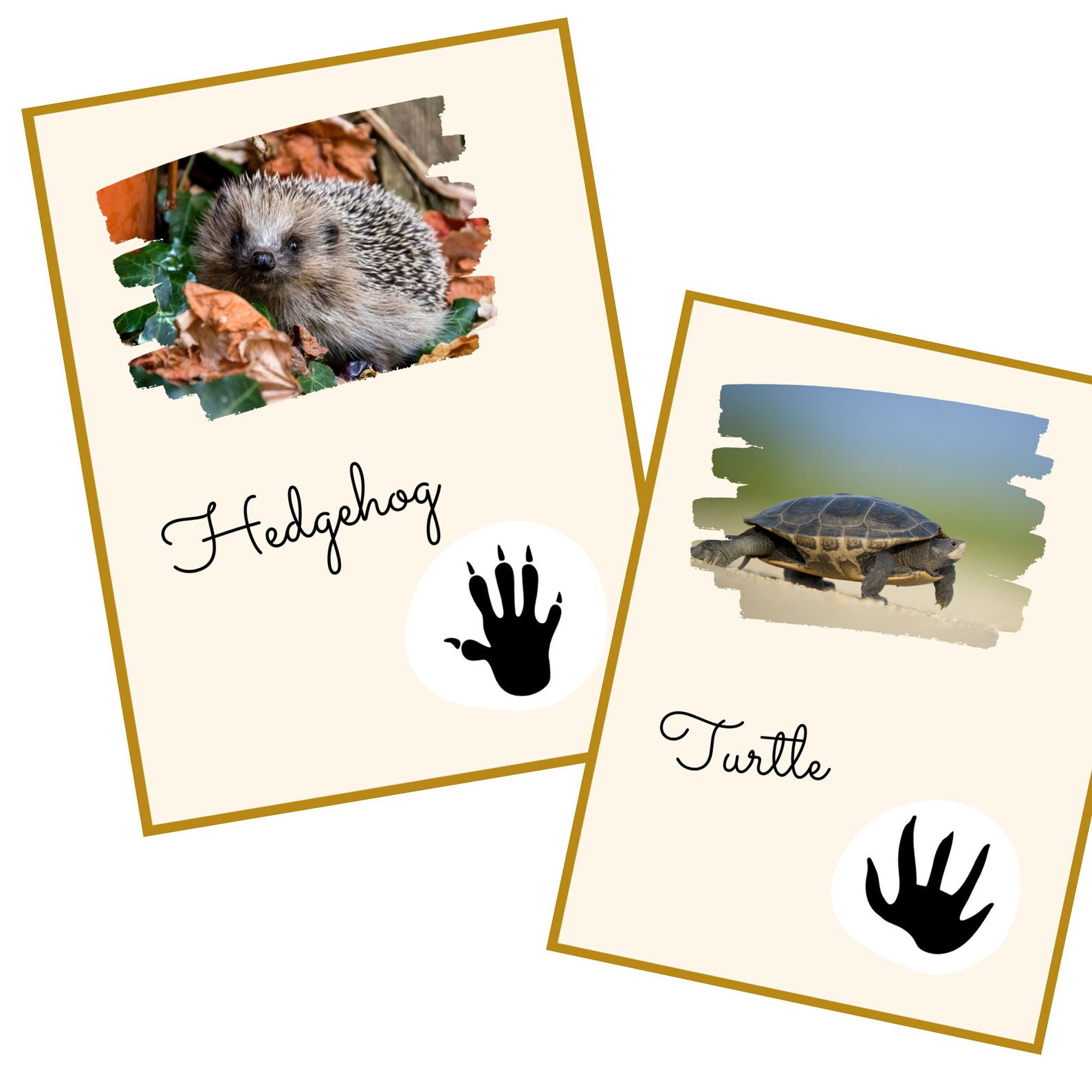 Printable ANIMAL TRACKS Montessori Nomenclature Flashcards Set - Etsy