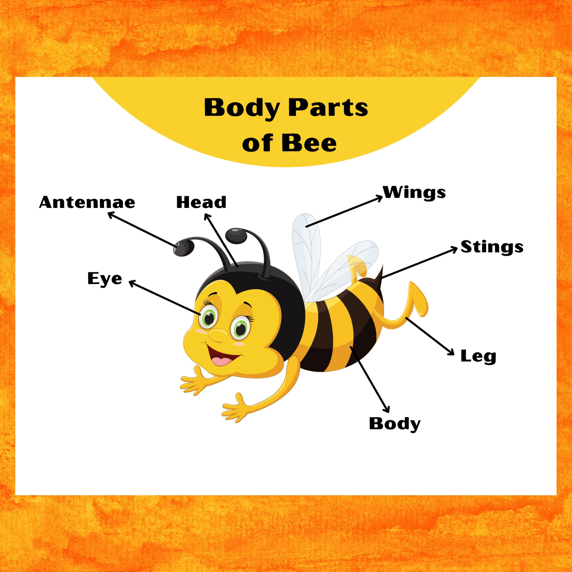 Body parts game Montessori activities Educational games for early ...
