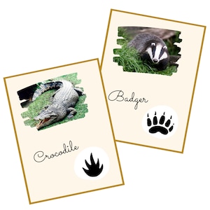 Printable ANIMAL TRACKS Montessori Nomenclature Flashcards Set - Etsy