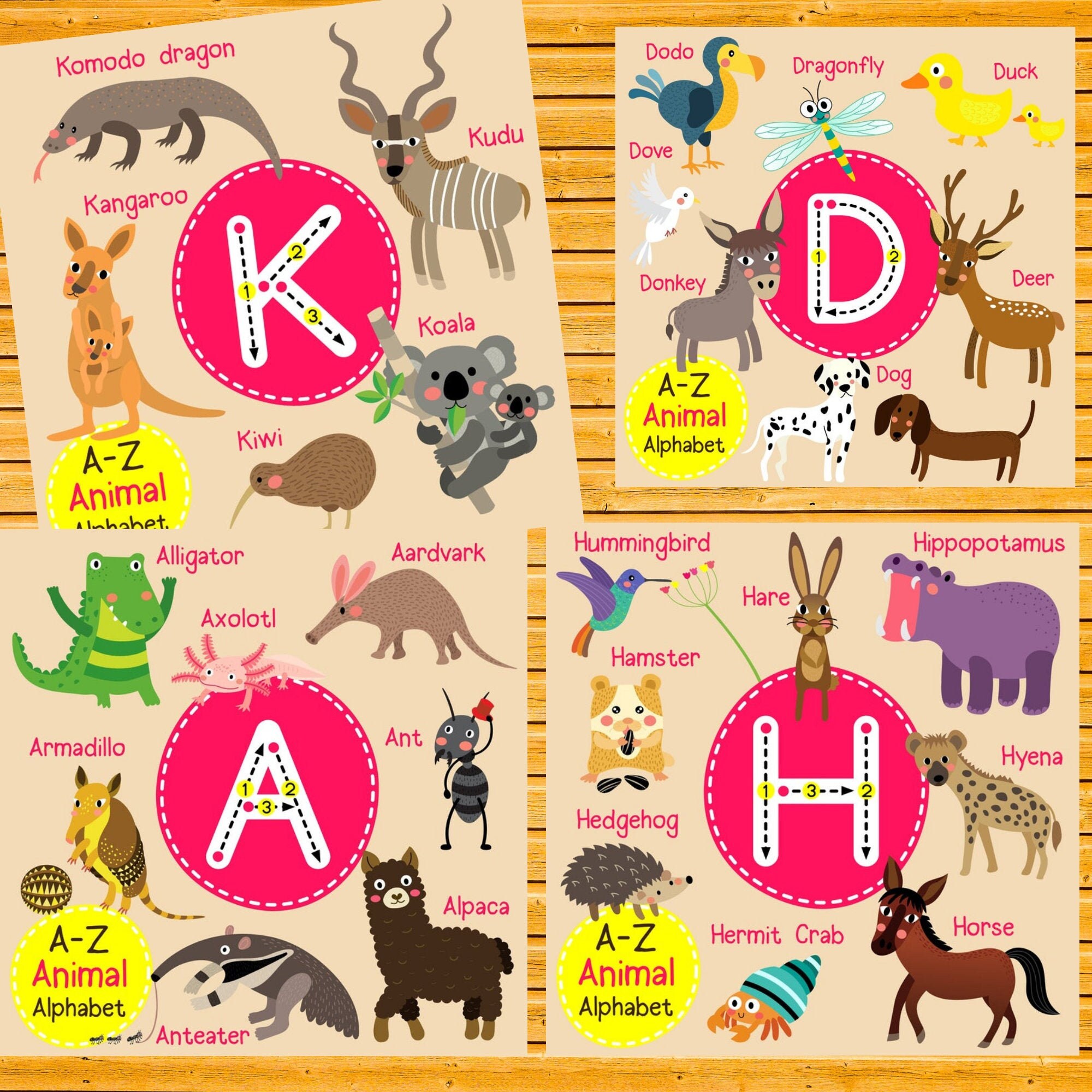 Animals That Start With H