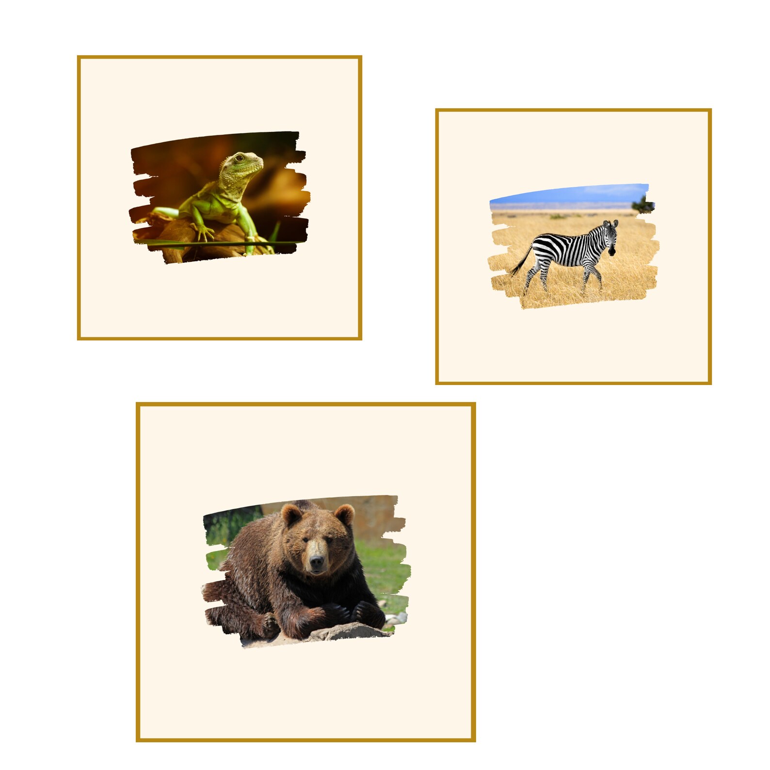 Printable ANIMAL TRACKS Montessori Nomenclature Flashcards Set - Etsy