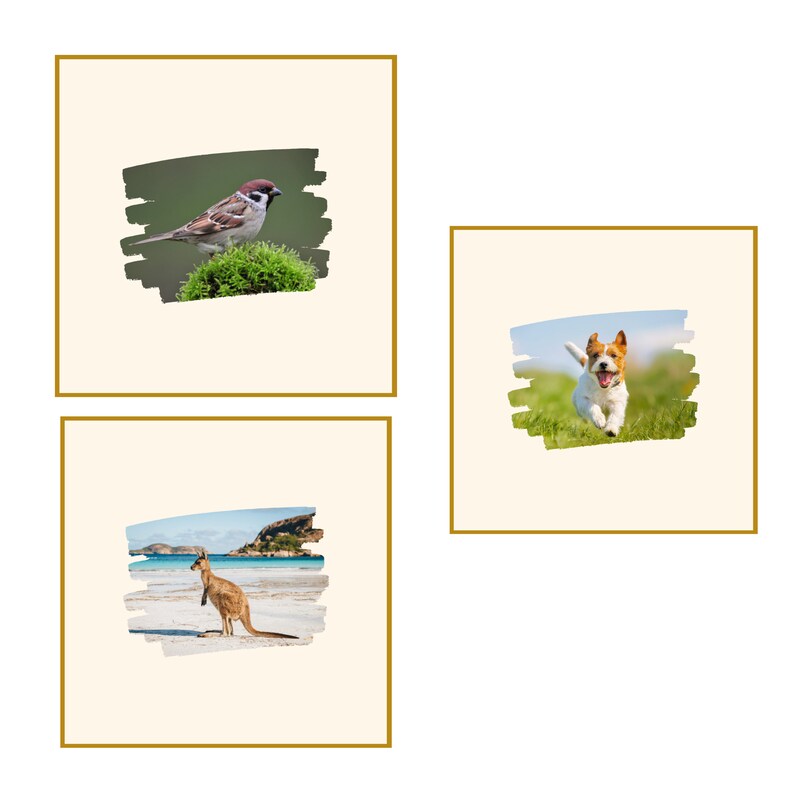 Printable ANIMAL TRACKS Montessori Nomenclature Flashcards Set - Etsy