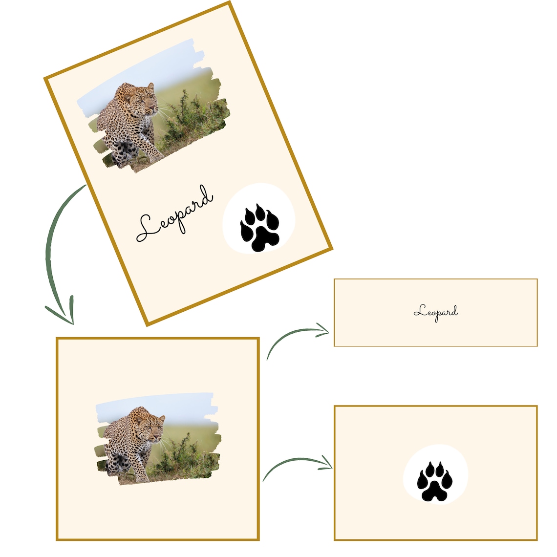 Printable ANIMAL TRACKS Montessori Nomenclature Flashcards Set - Etsy