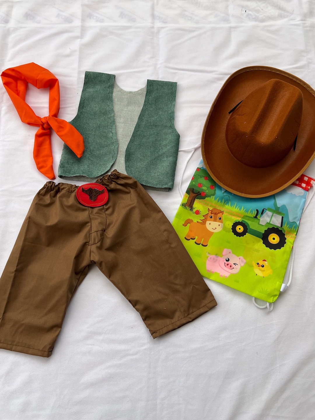 5 PIECES La Granja De Zenón Themed Birthday Party FARM Birthday Zenon ...