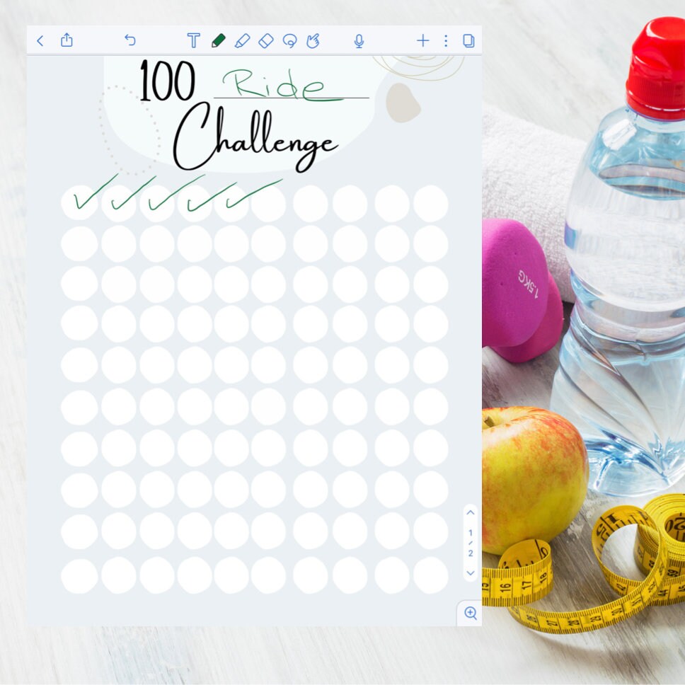 100 Day Challenge L One Hundred Goal Tracker L Printable PDF L Digital ...