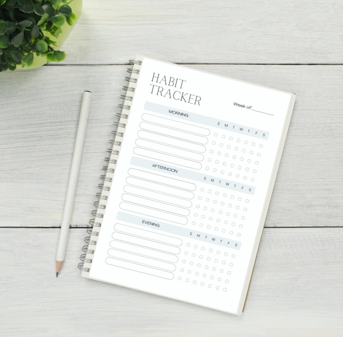 Habit Tracker Journal Template L iPad Planner L Daily Time - Etsy
