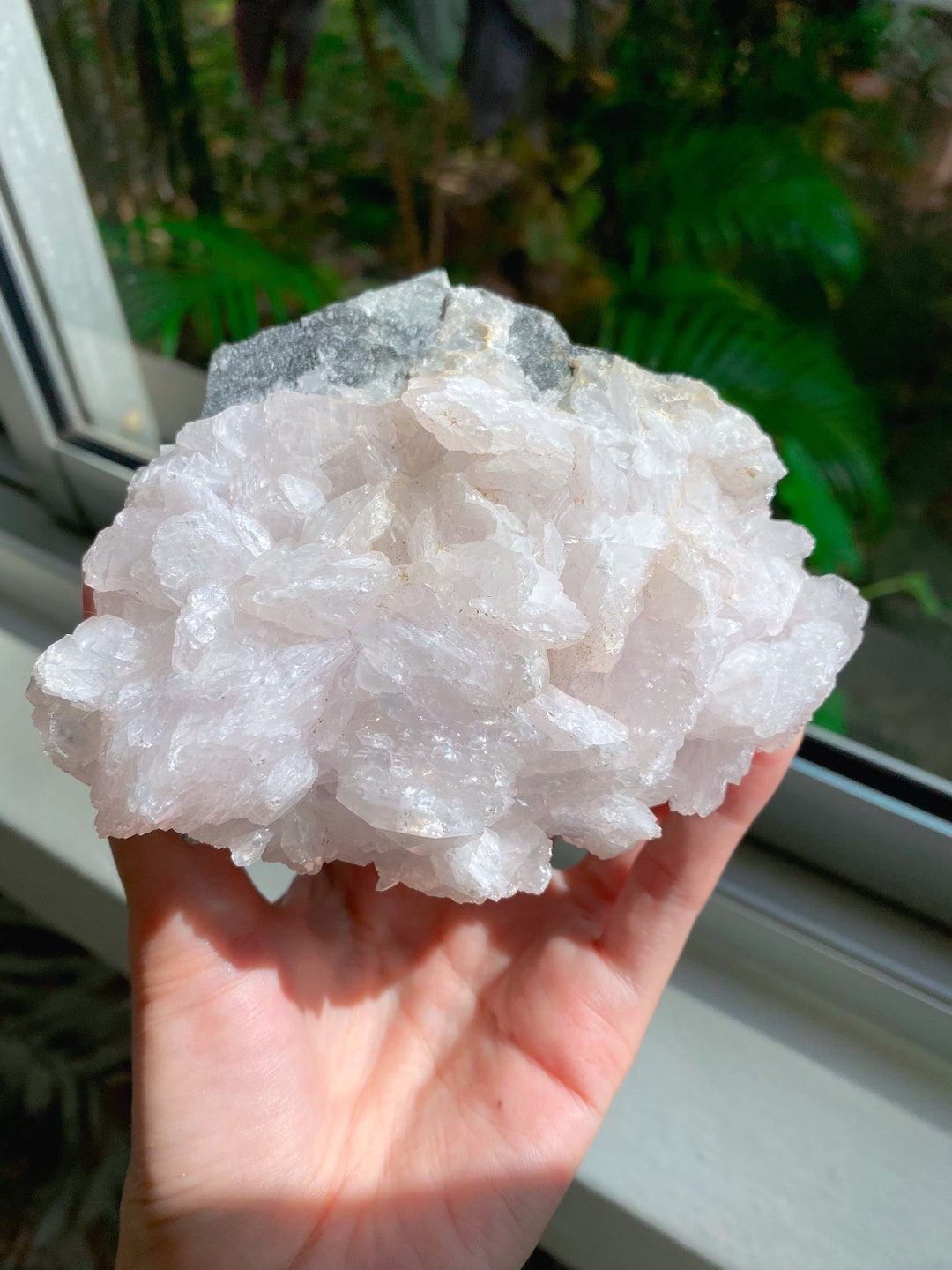 RARE Calcite Angel Wing Cluster in Light Pink (fluoresces Under UV ...