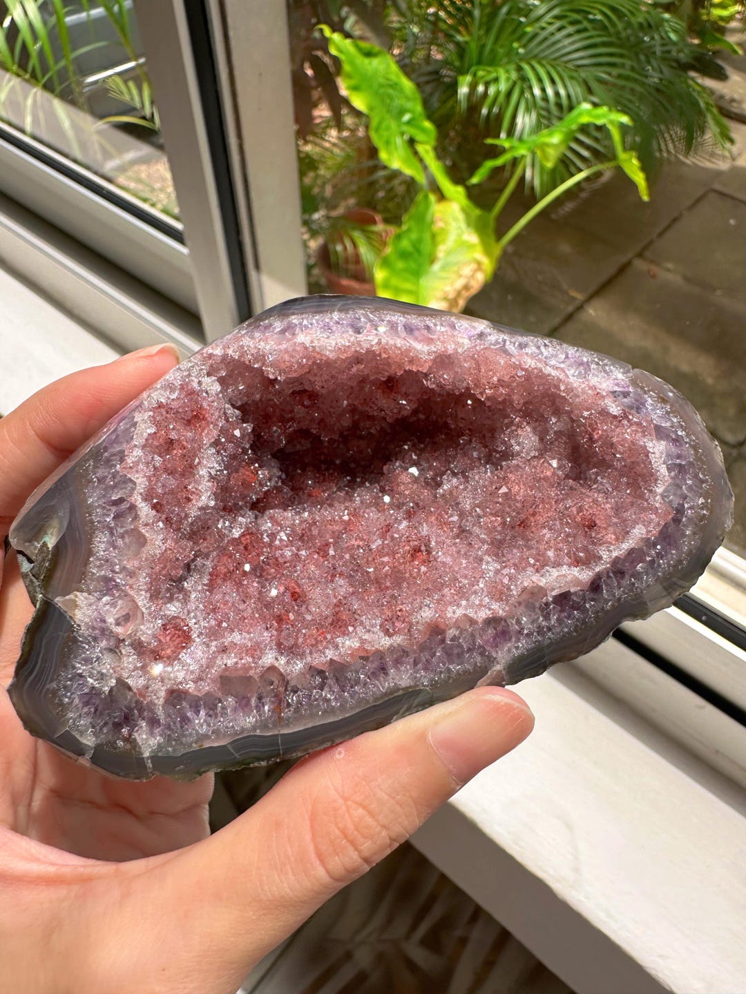 RARE Sugar Amethyst Geode From Uruguay. (so Beautiful With Purple ...