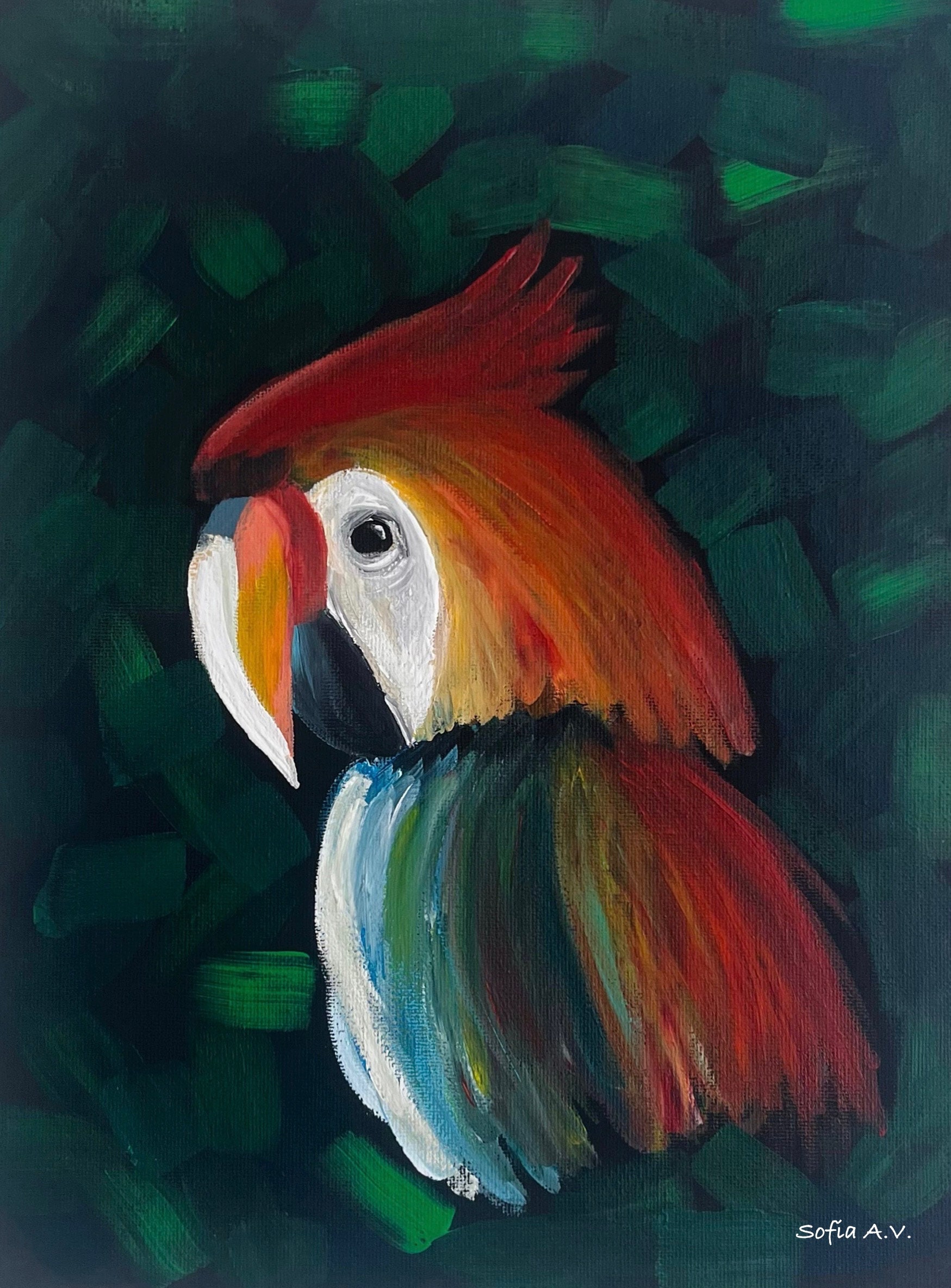 Costa Rican Air Force (PRINTS) - Etsy