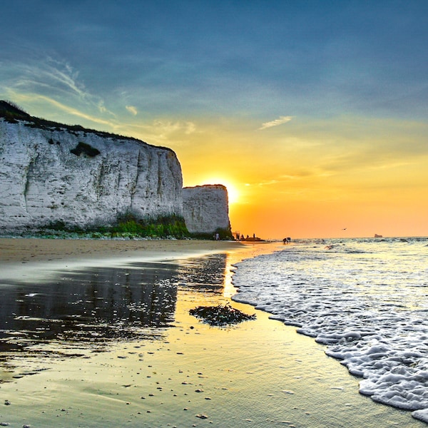 Summer Botany - Etsy