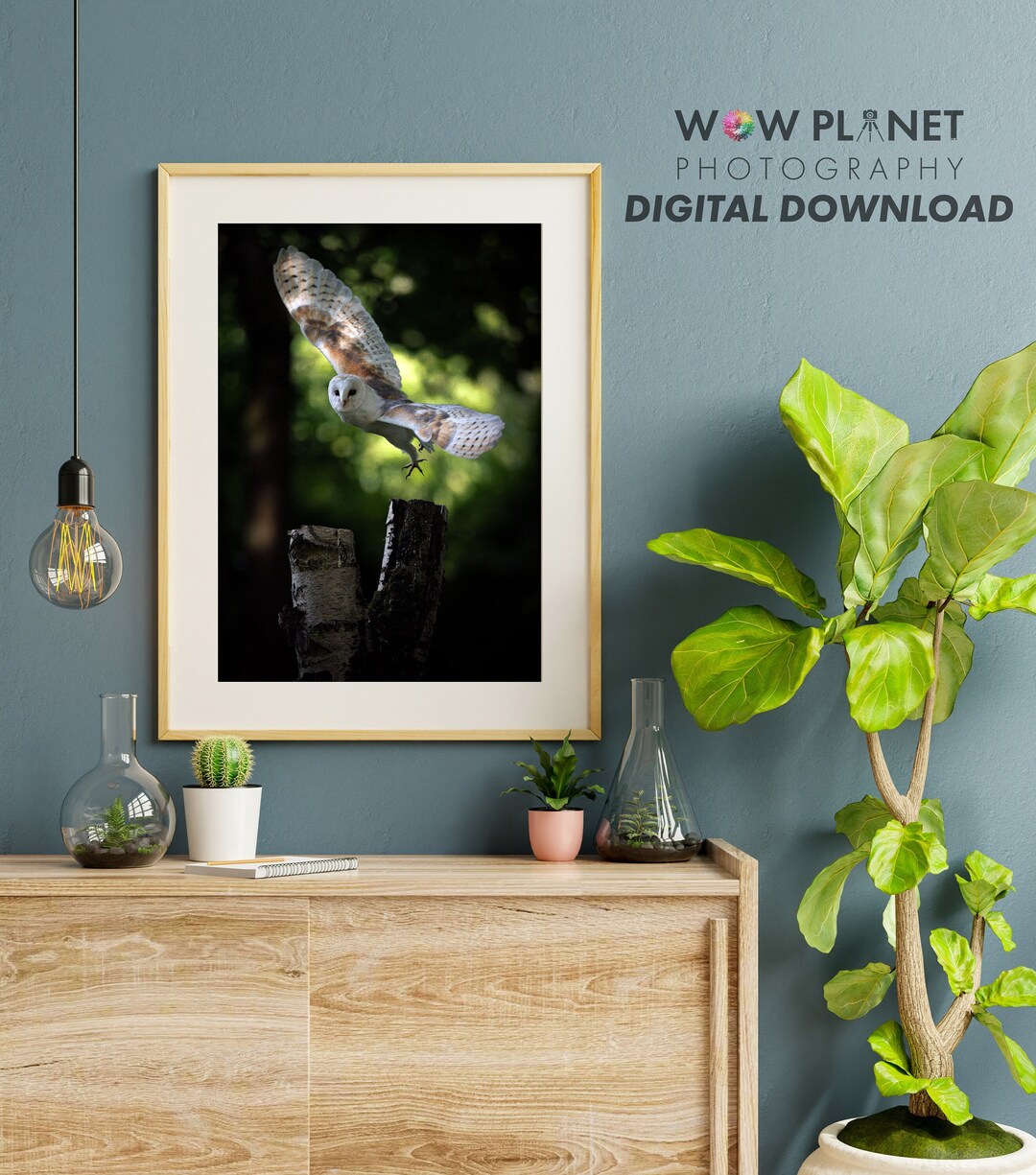 Printable Digital Download: Barn Owl Photograph, Wall Art for Owl ...