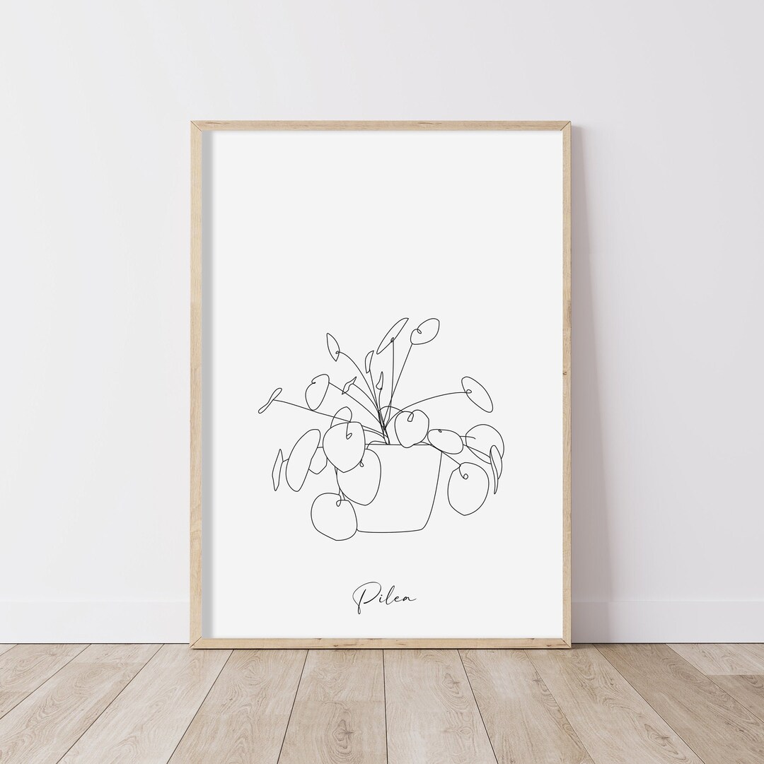 Poster Pilea, Line Art Poster Plant, Mural, Print Plant, Black and ...