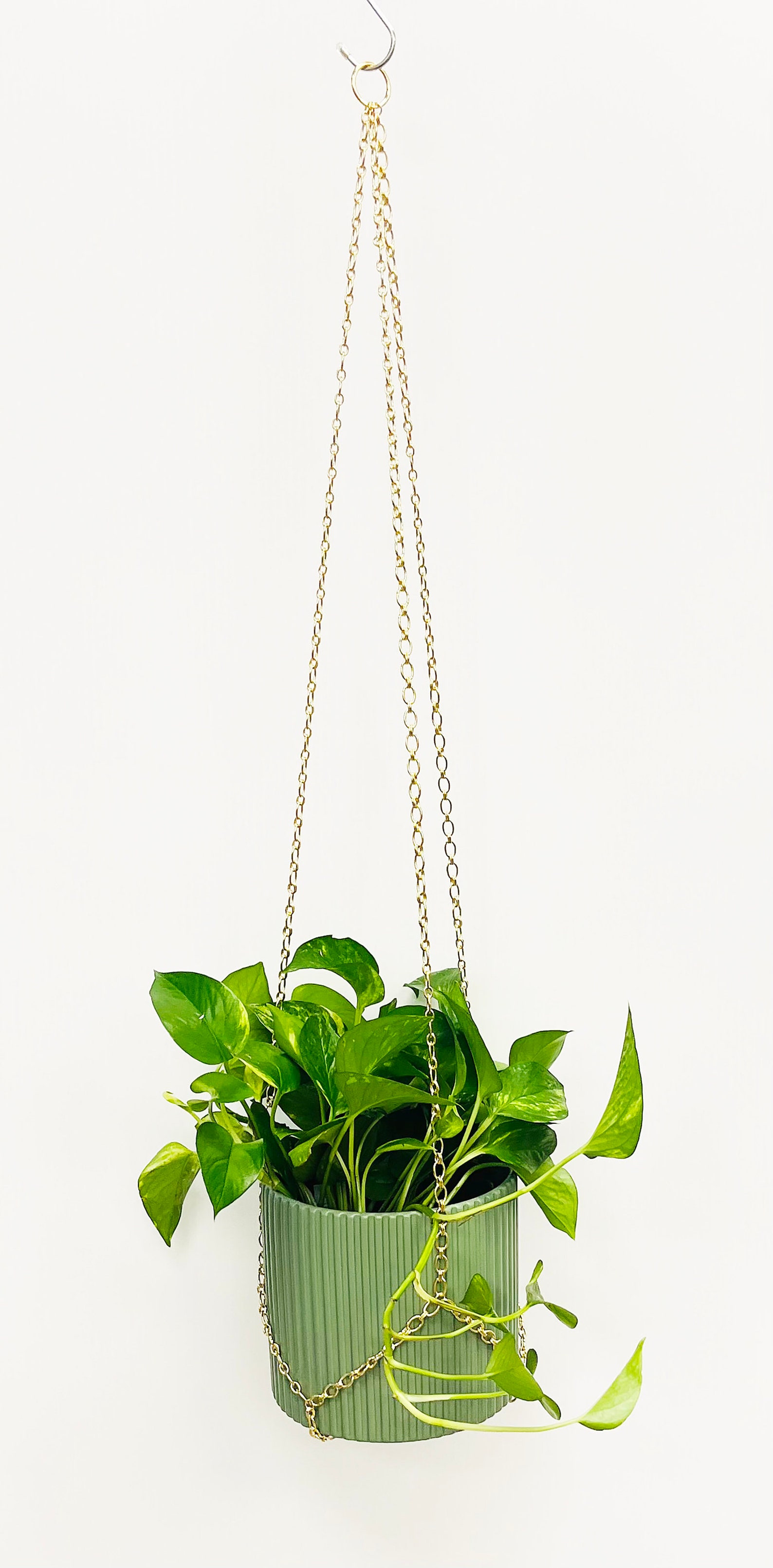 Nautical Link Chain Plant Hanger Oval Chain 38" Length - Chic and Cool ...