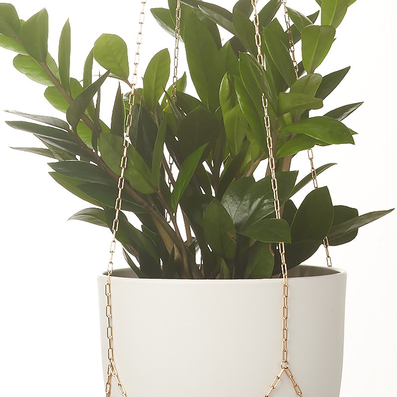 Gold Hanging Plant Chain - Etsy
