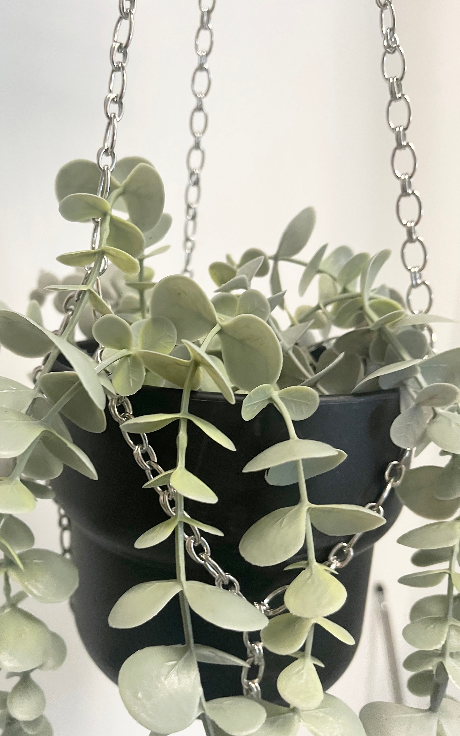 Nautical Link Chain Plant Hanger Oval Chain 38 Length Chic and Cool ...