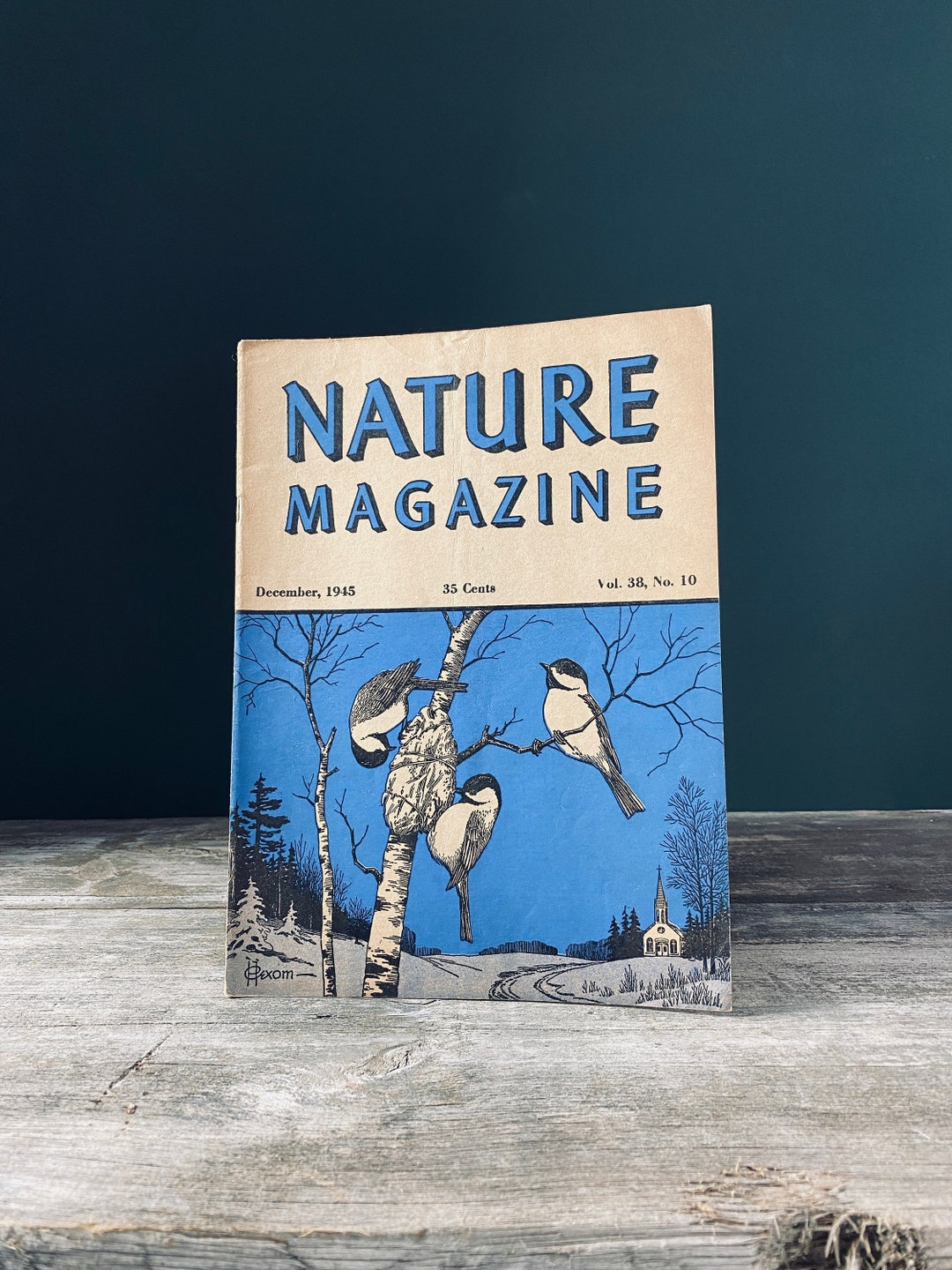 Vintage Nature Magazine, December 1945 - Etsy