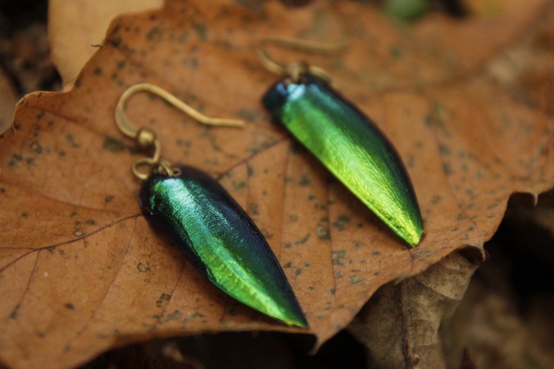 Scarab Wing Earrings - Original Egyptian Insect Jewelry, Shiny Boho ...