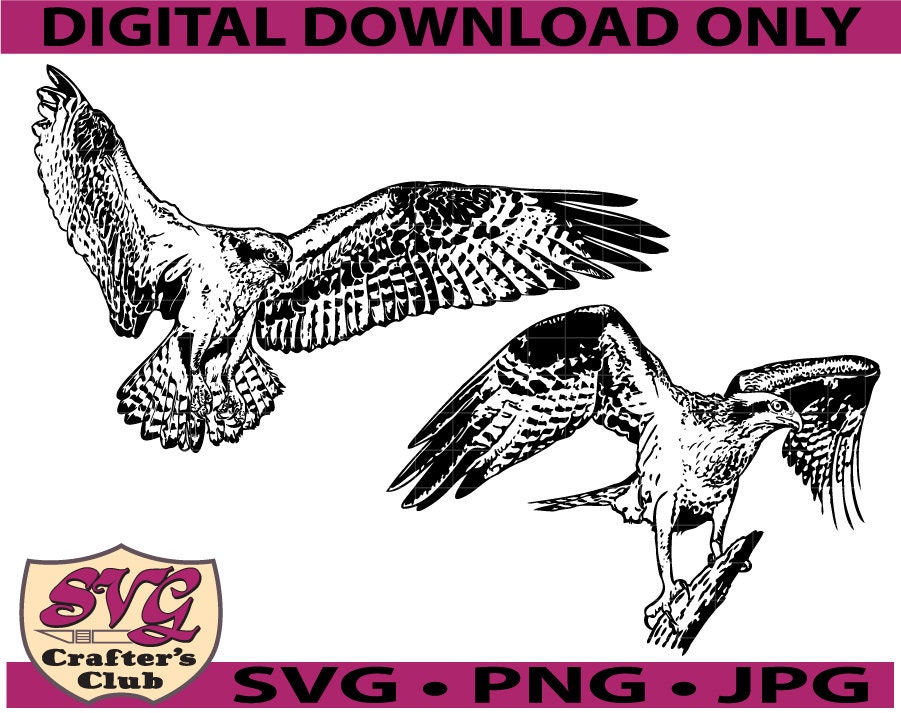 Red Tail Hawk Silhouette