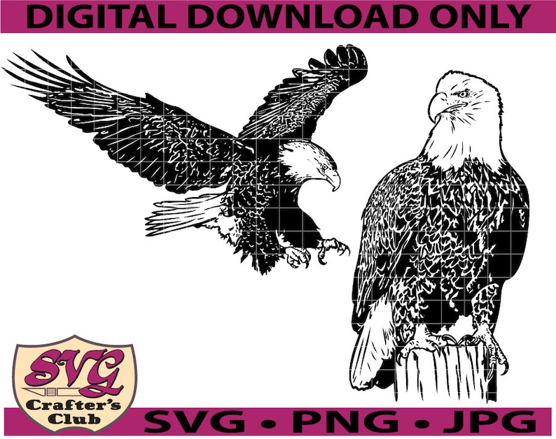 Bald Eagle in Flight and on Perch SVG Design for Cricuts and ...