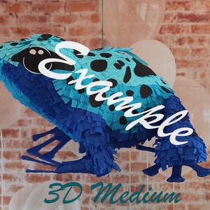 Custom Pinata | Bespoken Piñata | Piñata for Birthday | Gift Pinata ...