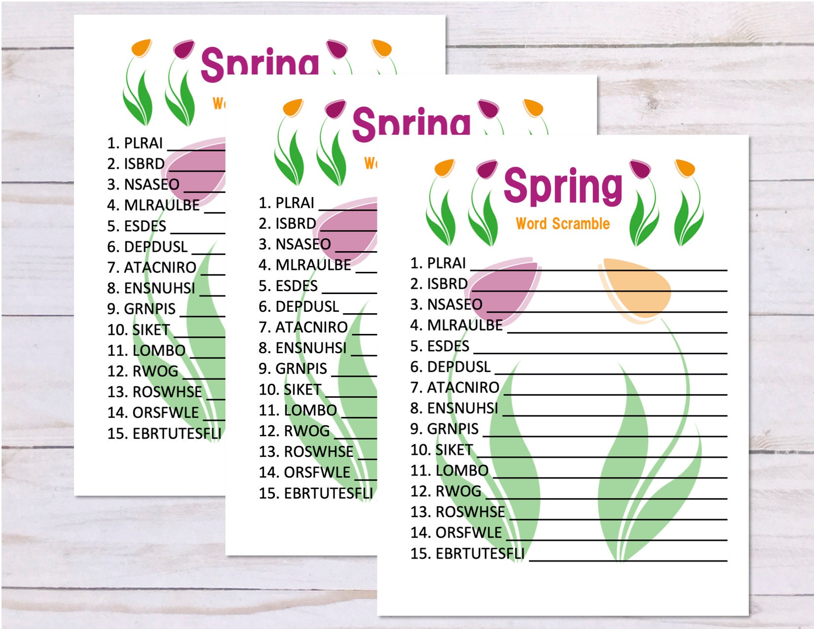 Set of 2 Spring Word Games, Word Search, Word Scramble, Spring Party ...