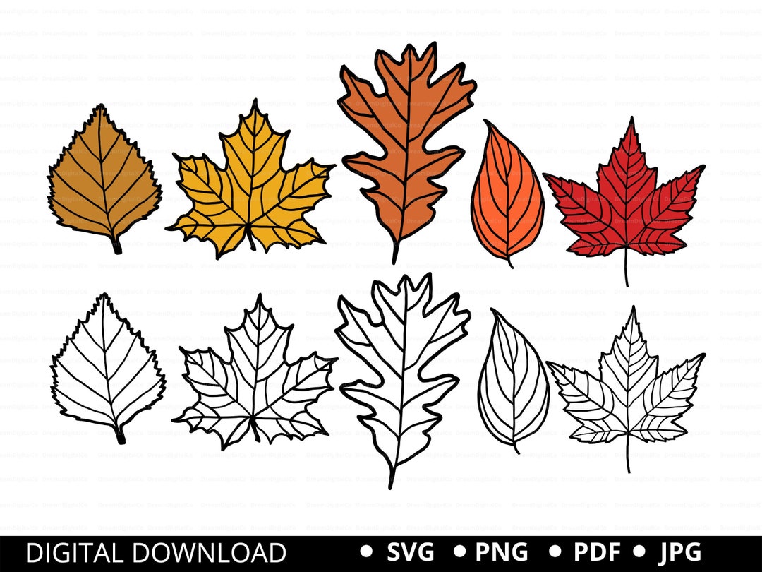 Fall Leaves SVG, Autumn Leaves, Layered Leaf, Fall Leaf, Leaf Clipart ...