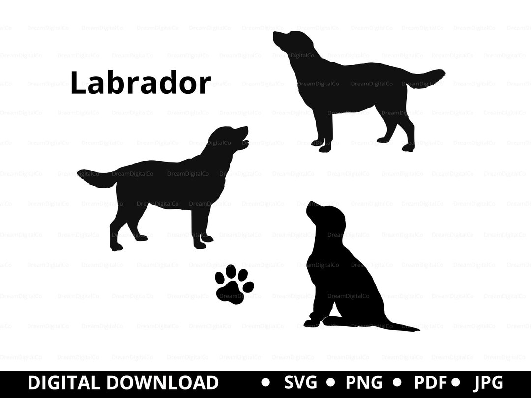 Labrador Dog Svg, Labrador Retriever Svg, Paw SVG, Labrador Silhouette ...