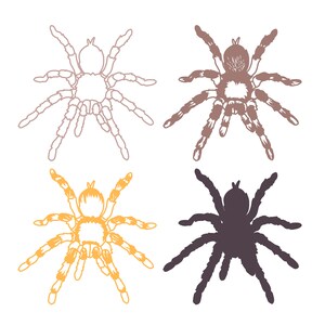 Spider Multilayer SVG/ Spider Cut File/ 3D Layer/ Plywood Cutting ...