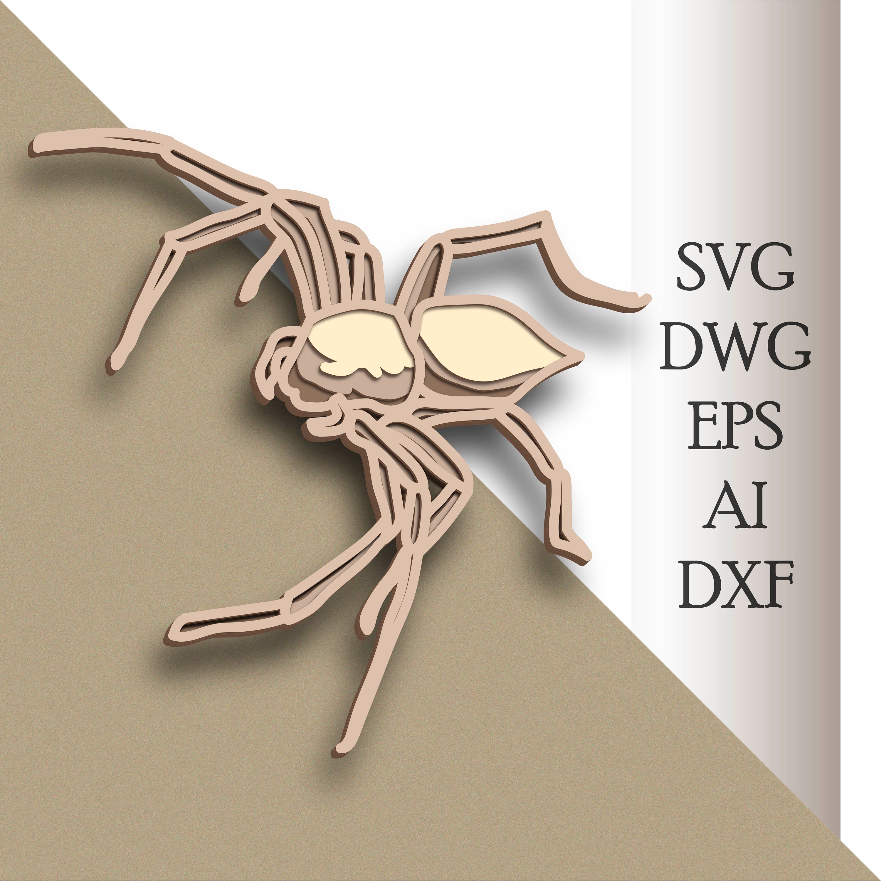 Spider Multilayer SVG/ Spider Cut File/ 3D Layer/ Plywood - Etsy