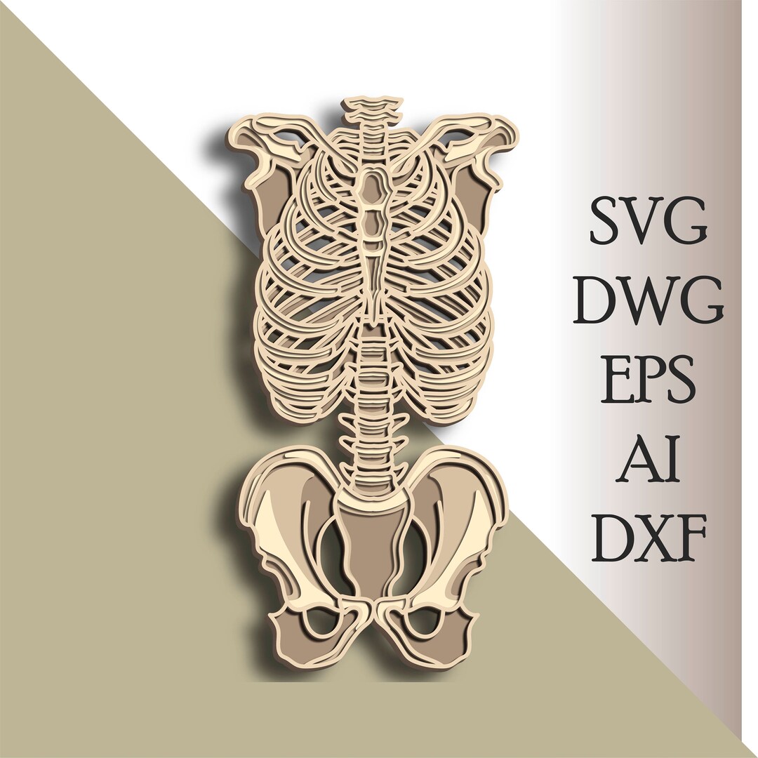 3D Skeleton Multilayer SVG/ Skeleton Mandala Cut File/ 3D Layer ...
