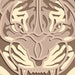 Tiger Head Multilayer SVG/ Tiger Cut File/ 3D Layer/ Plywood Cutting ...