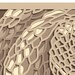 Snake Multilayer SVG/ Snake Cut File/ 3D Layer/ Plywood - Etsy