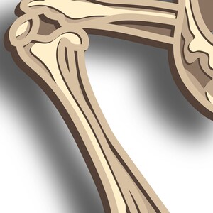 Skeleton Multilayer SVG/ Skeleton Mandala Cut File/ 3D Layer/ Plywood ...