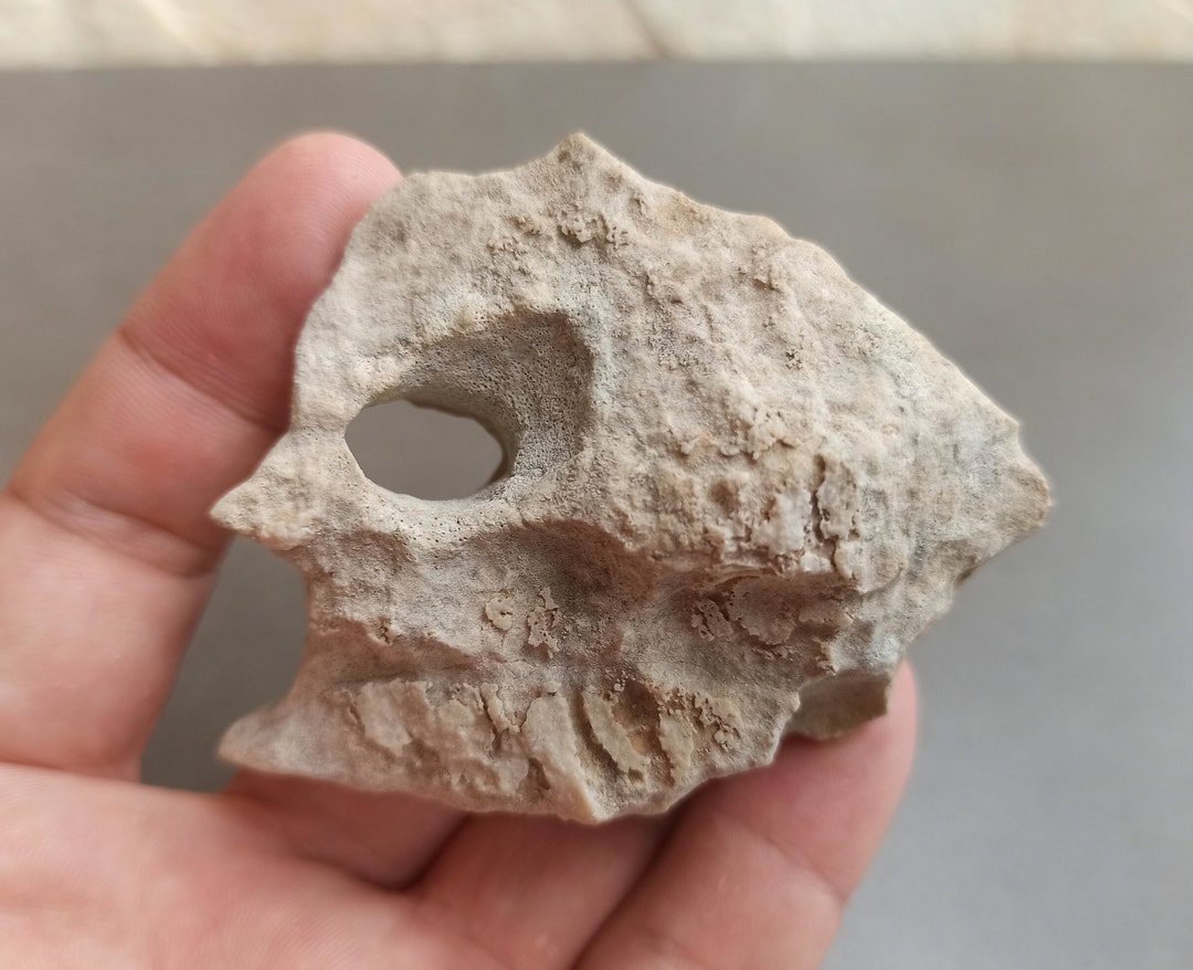 Skull Stone, Chicken God Stone, Face Beach Stone, Rock With Hole ...