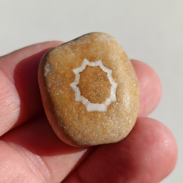 Holy Stone - Etsy