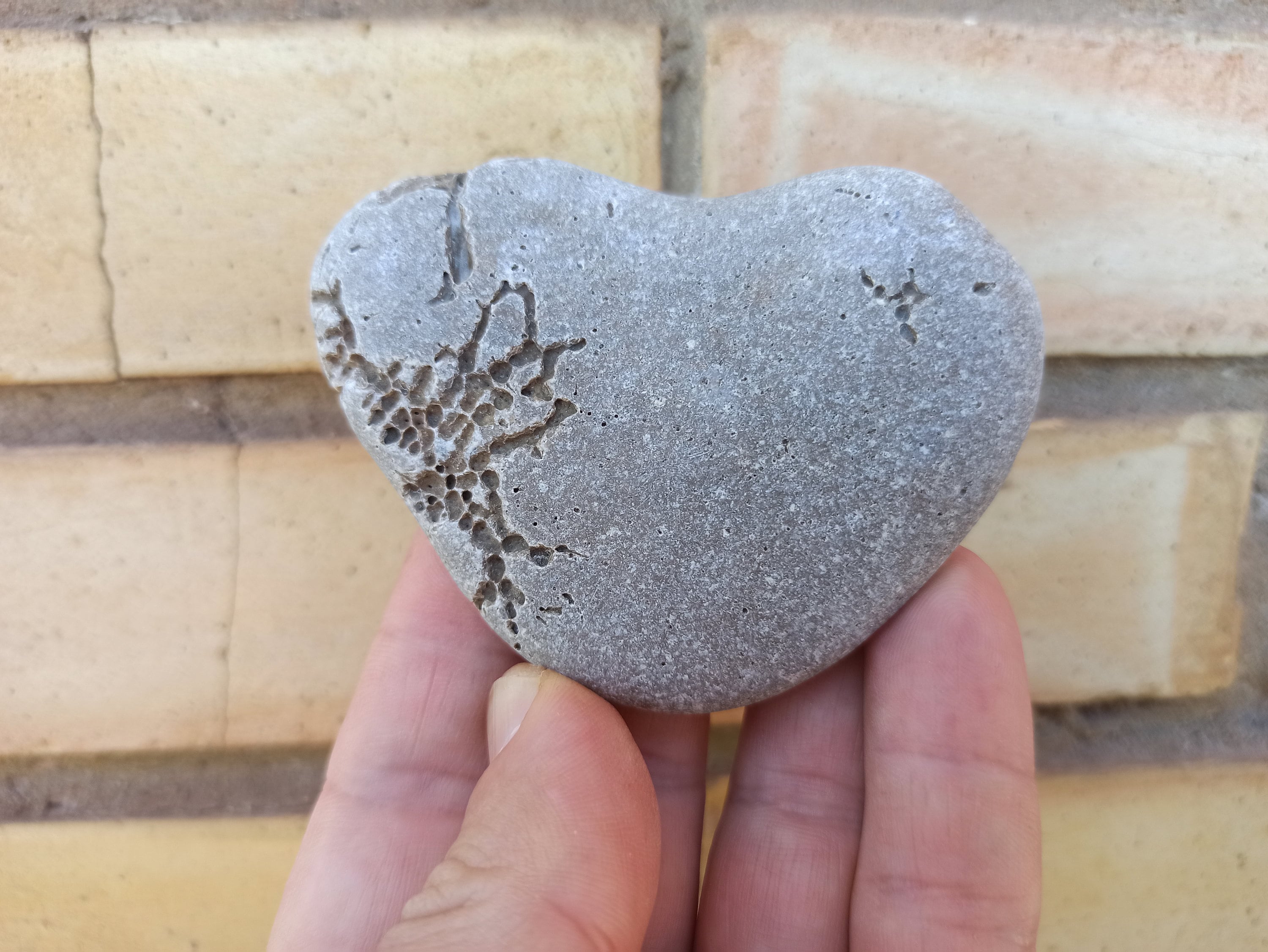 Beach Stone Heart Heart-shaped Stone Stone With Heart of - Etsy