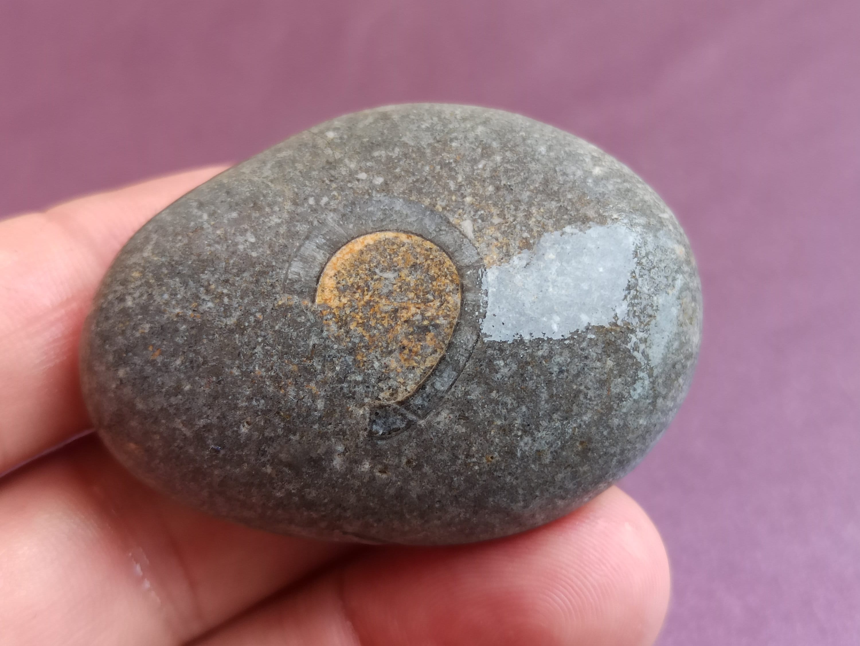 Yin Yang Stone, Feng Shui Stone, Wishing Stone, Irish Hag Stone ...