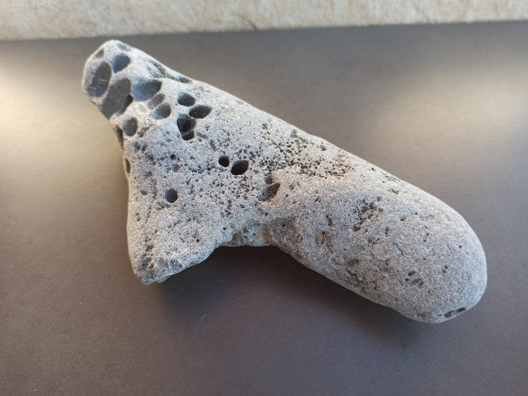 Stone Number One, Stone Number One, Stone Number, Beach Stone Funny ...
