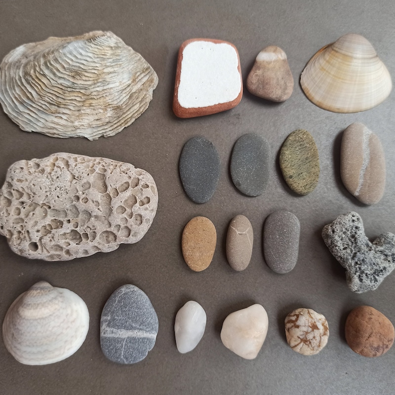 Painted Rocks and Shells - Etsy