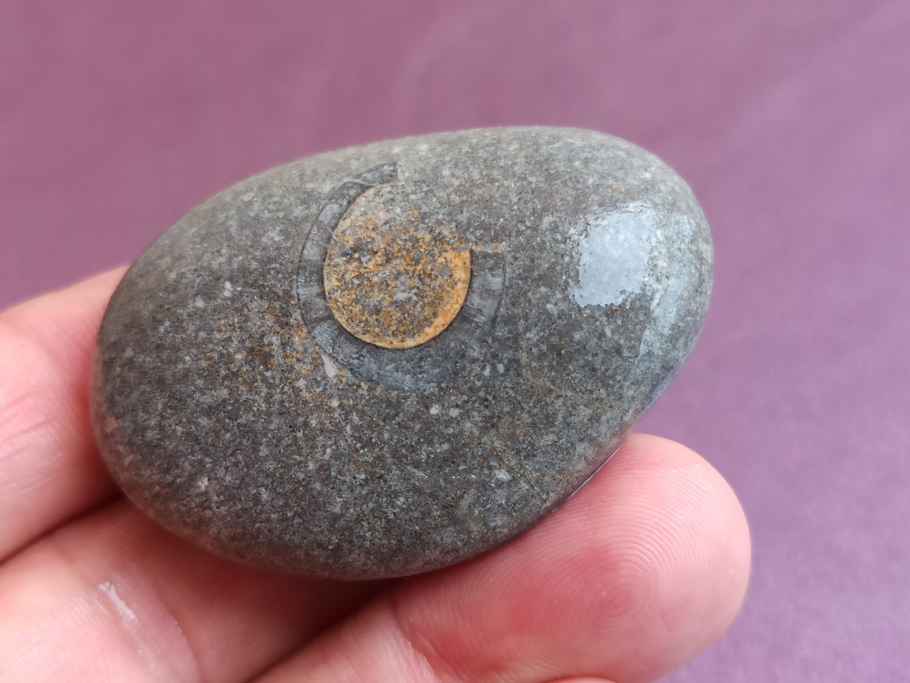 Yin Yang Stone, Feng Shui Stone, Wishing Stone, Irish Hag Stone ...