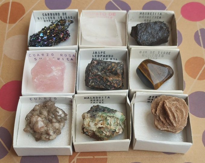 TRILOBITE FOSSIL, Trilobite Fossil in a Matrix, Fossilized Trilobite ...