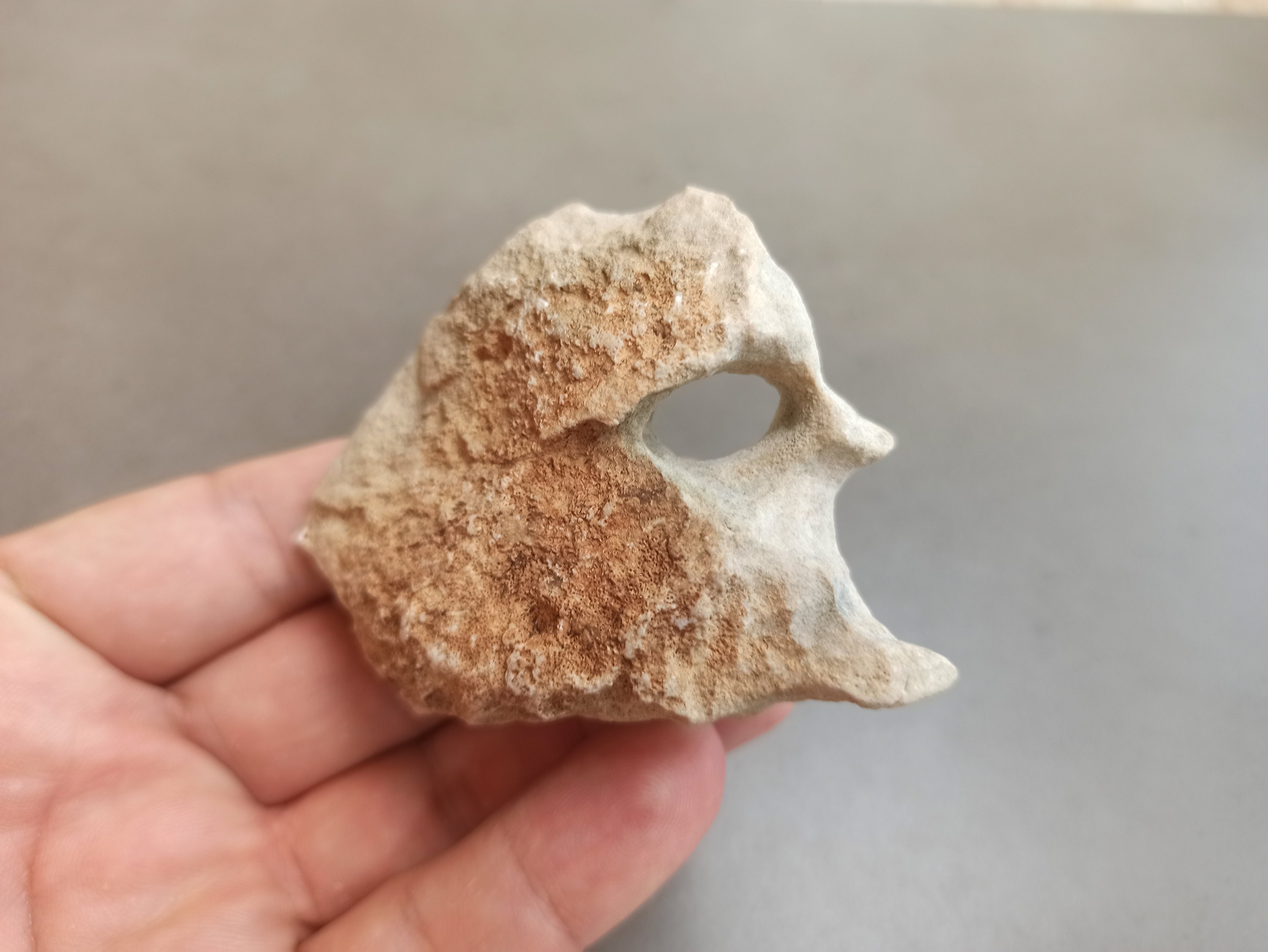 Skull Stone Chicken God Stone Face Beach Stone Rock With - Etsy
