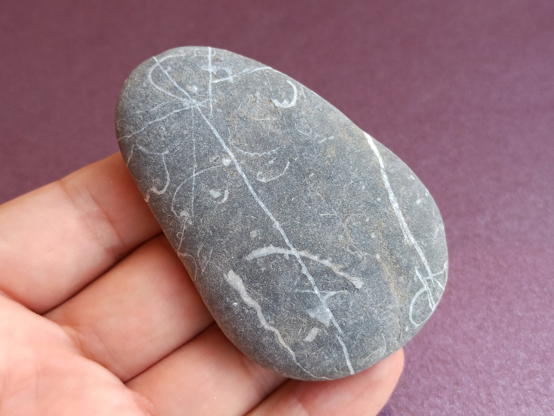 Rare Artefact Magic Stone, Wishing Stone, Irish Hag Stone, Bladder ...
