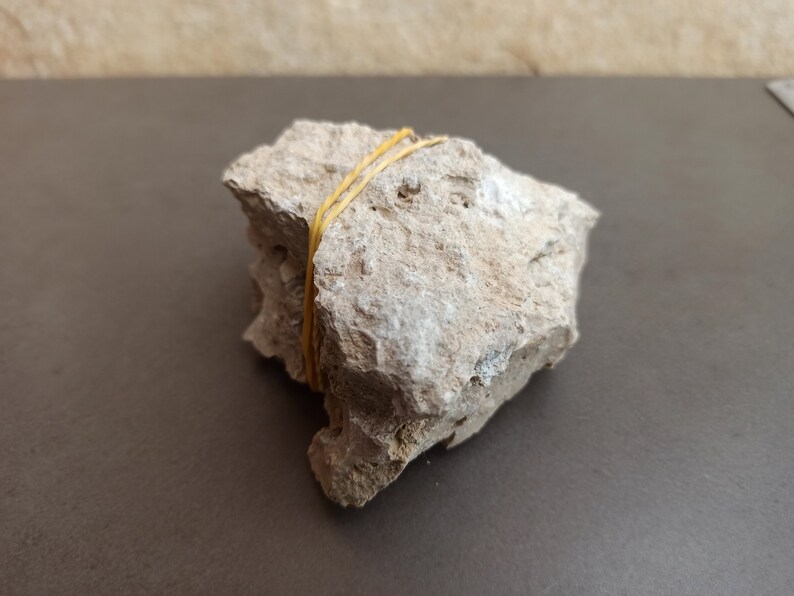 Ancient Shells in Stone Ancient Spanish FOSSIL Ancient - Etsy